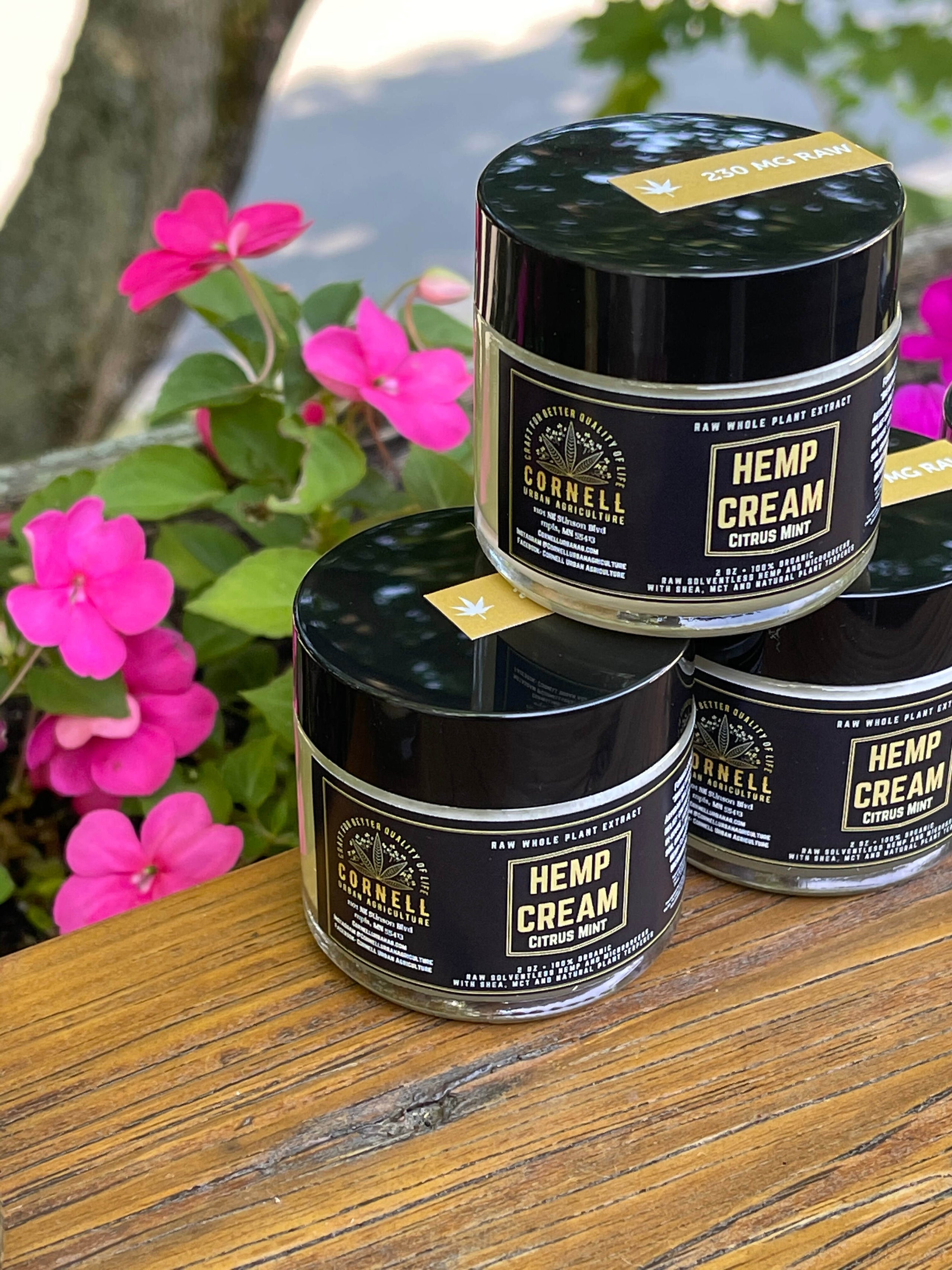 CBDa Raw Cannabinoid Hemp Cream with Microgreens | Cornell Urban ...